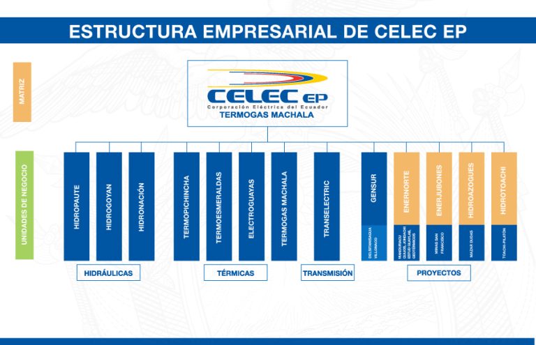 » Información de gestión