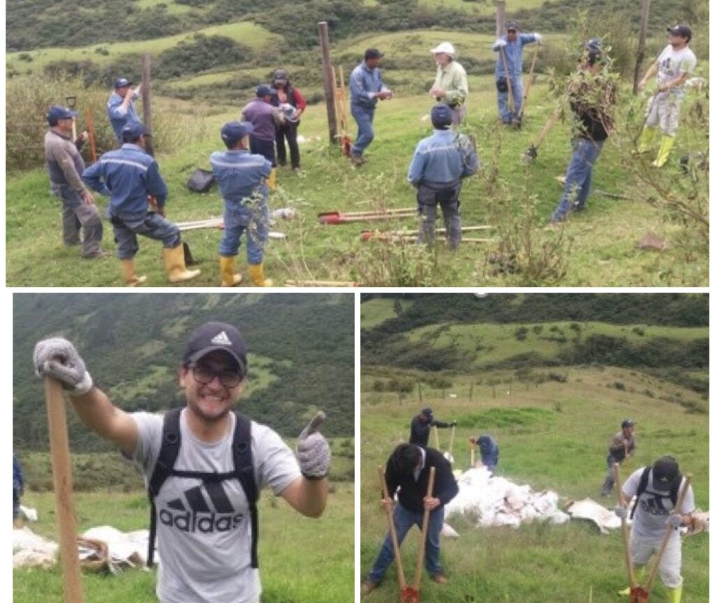 Personal de CELEC EP Termopichincha apoya la jornada de reforestación y ... Personal de CELEC EP Termopichincha apoya la jornada de reforestación y ...